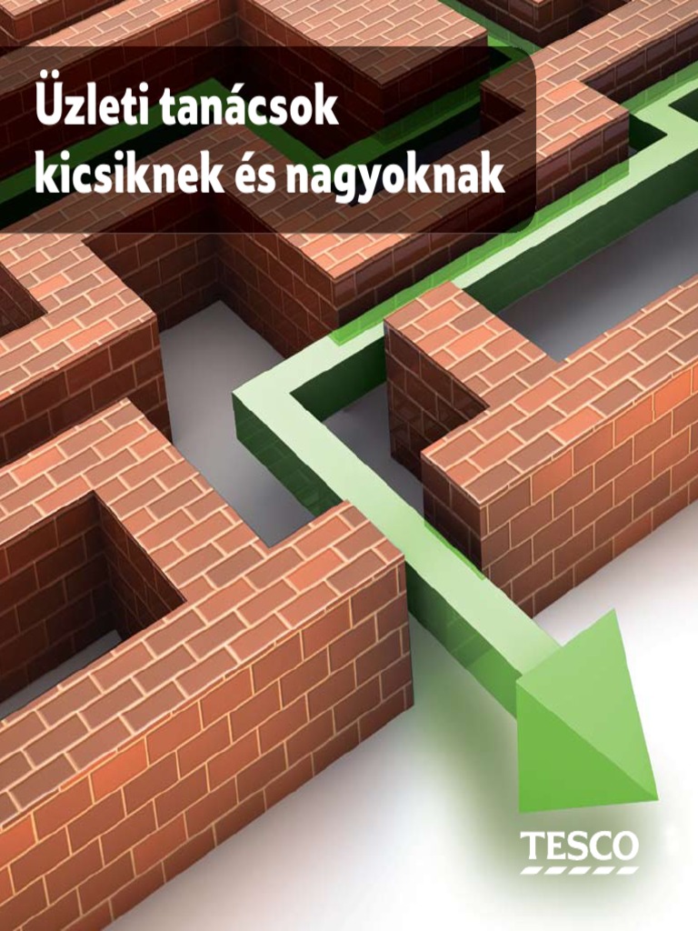 Üzleti Terv Kicsiknek És Nagyoknak | PDF