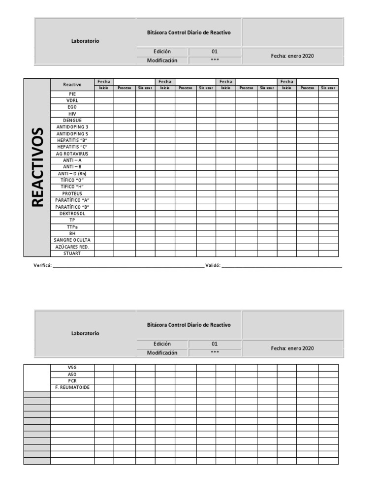 Bitácora Control Diario de Reactivo | PDF