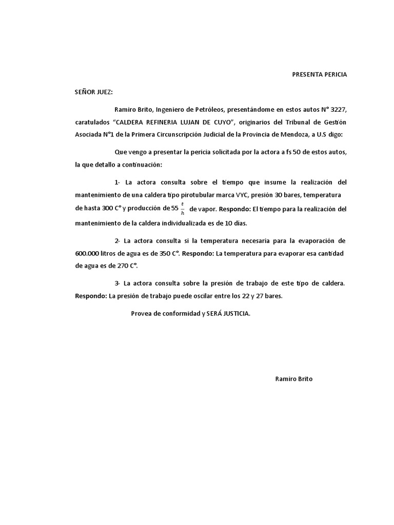 Pericia de Ramiro Brito | PDF