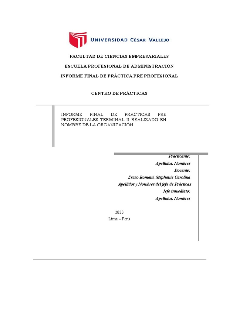 Inf-Ppp-X-Estructura y Formato-Adm-2023-1 | PDF | Análisis FODA | Business