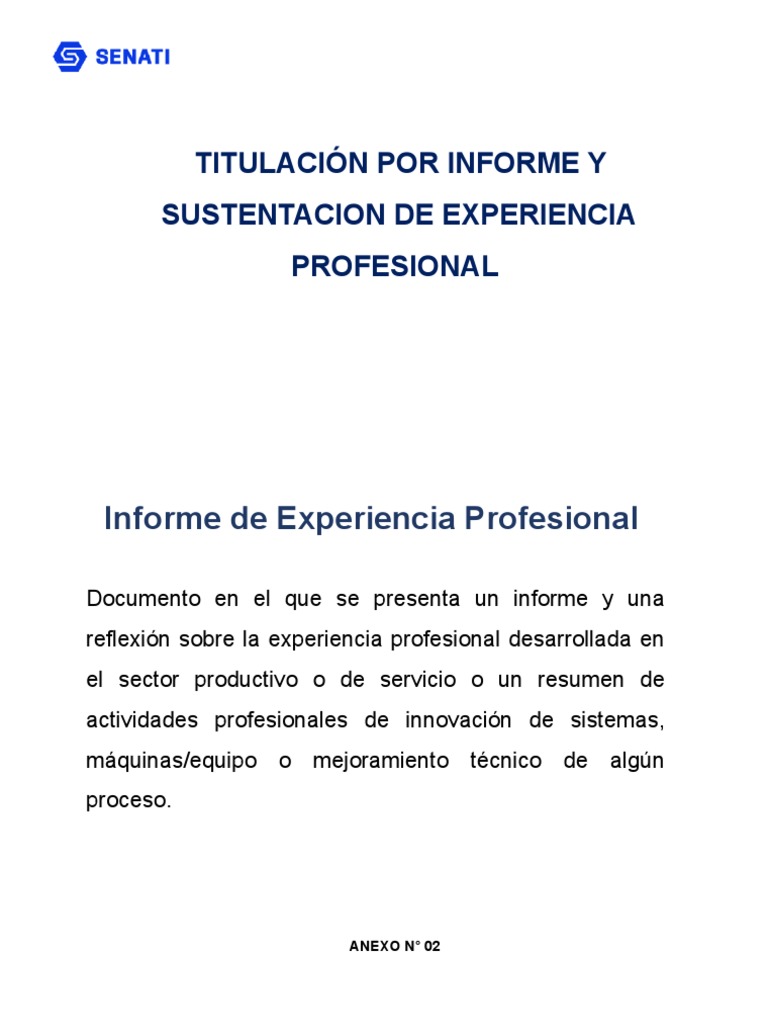 Informe de Experiencia Profesional (1) (1) (1) | PDF