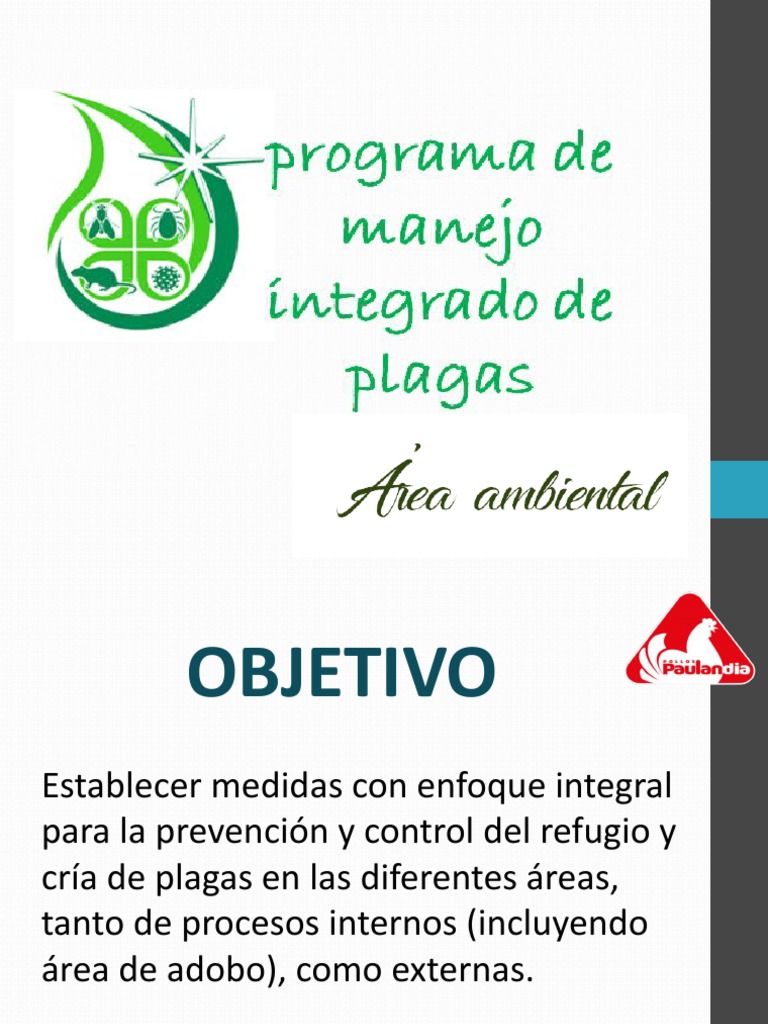 Presentación Programa MIP | PDF