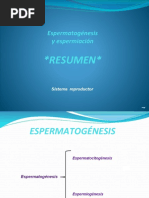 Signos de neumoperitoneo en radiografías | PDF | Abdomen | Hígado