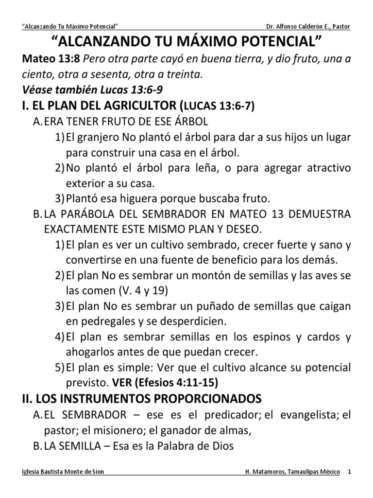Alcanzando Tu Maximo Potencial | PDF