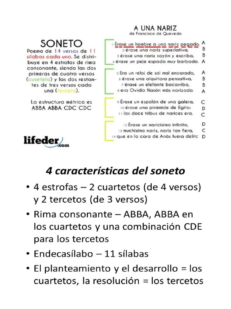 Características Del Soneto | PDF | Sonetos | Metro (poesía)