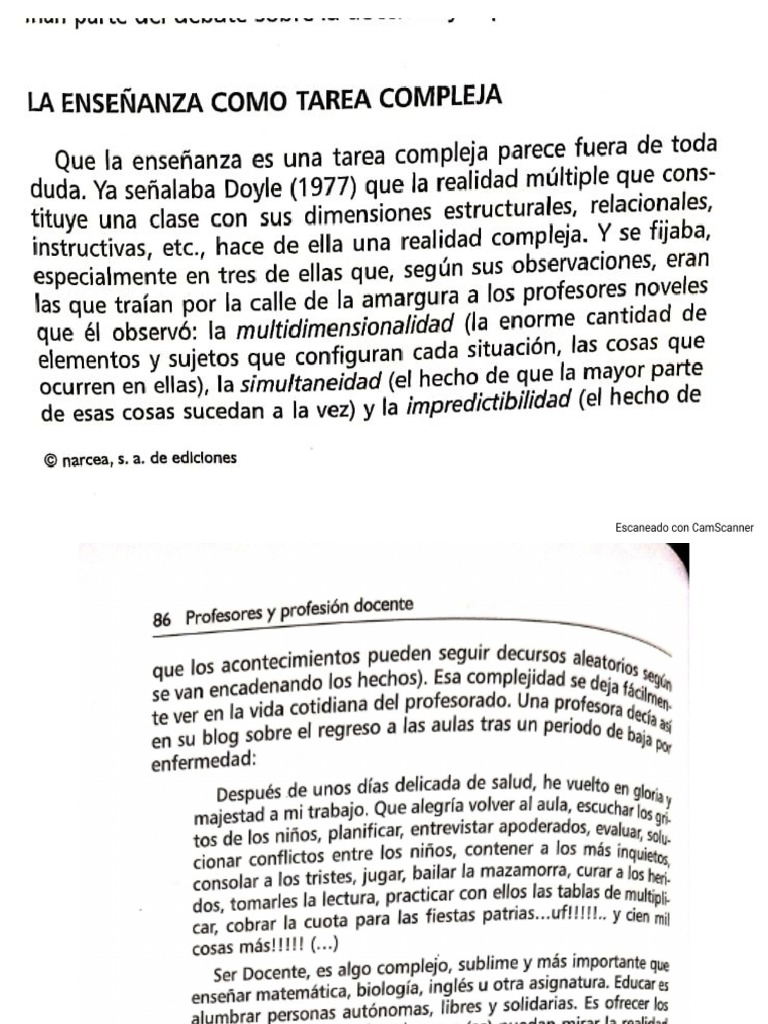 Profesoresas y Profesión Docente. ZABALZA BERAZA Y OTRO | PDF
