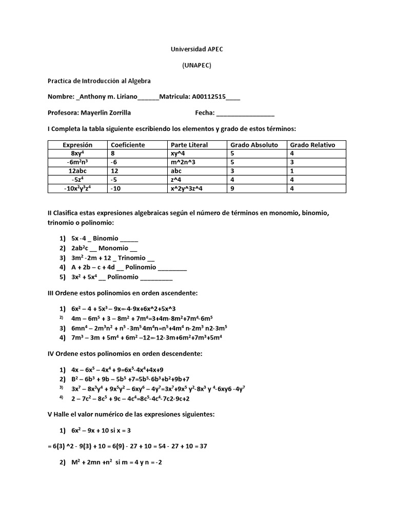 Practica_de_introduccion_al_algebra | PDF