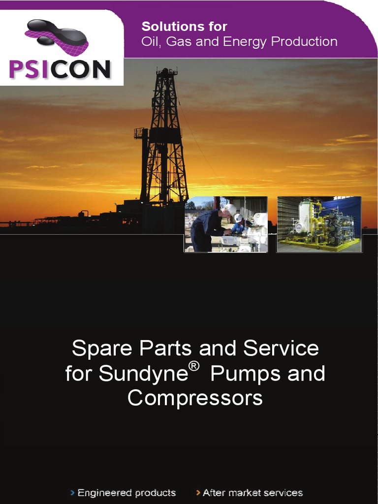 Psicon Sundyne Brochure | PDF