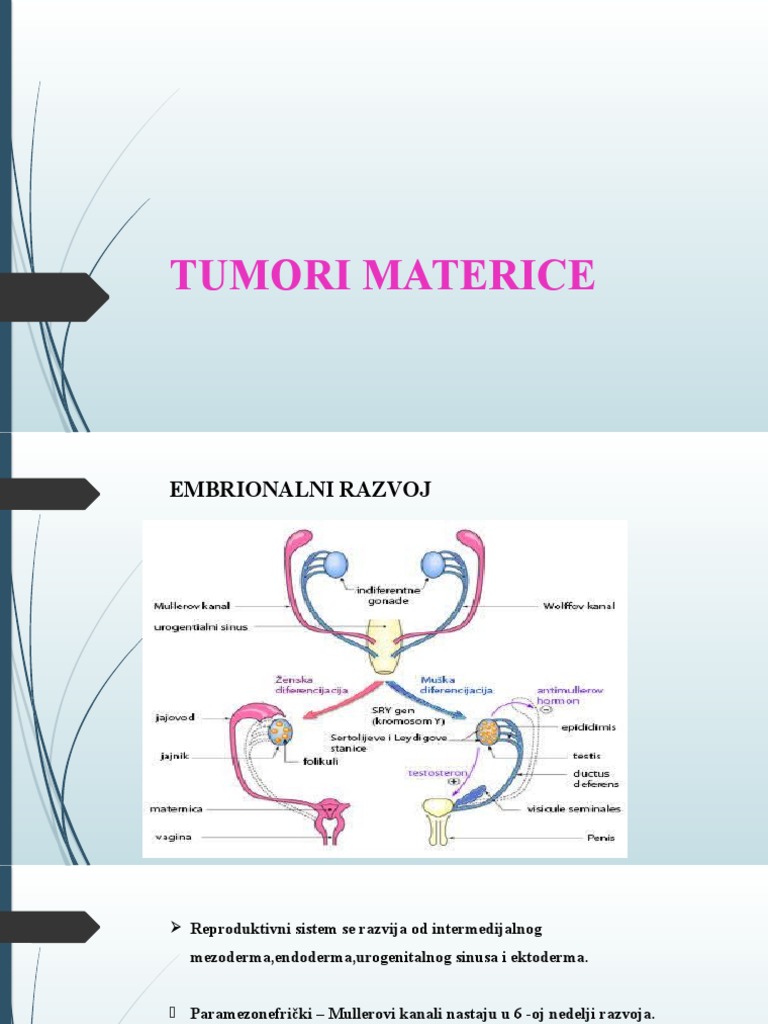 Tumori Materice | PDF