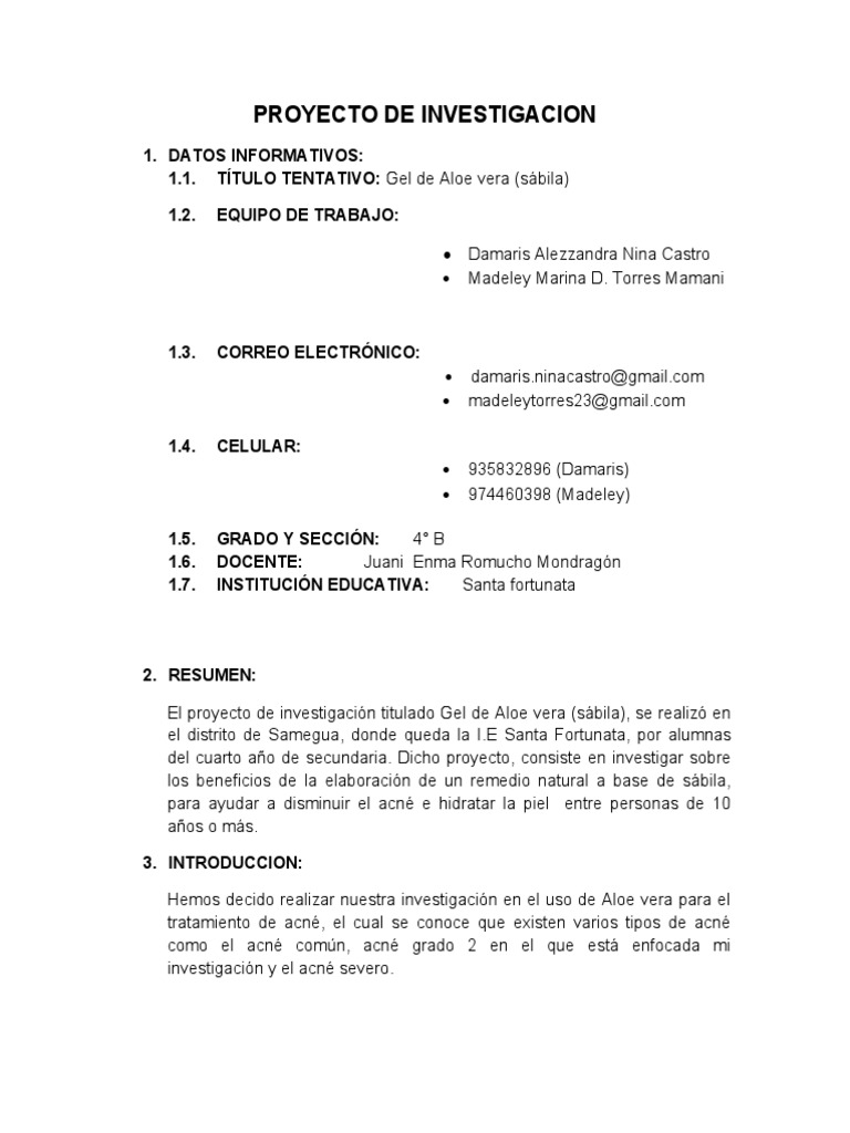 PROYECTO DE INVESTIGACION Made y Dami 4°B | PDF