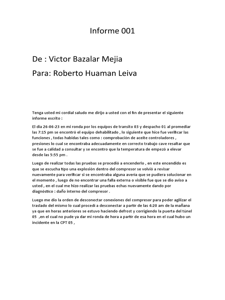 Informe 001 2023 | PDF