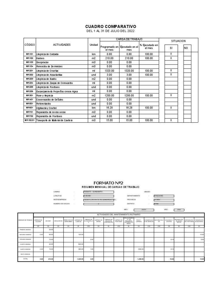 2-3 Formatos (Reporte de Cargas y Programacion) Guind.. | PDF