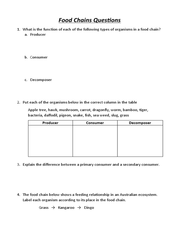 3 Food Chains Questions (Printout Version) | PDF