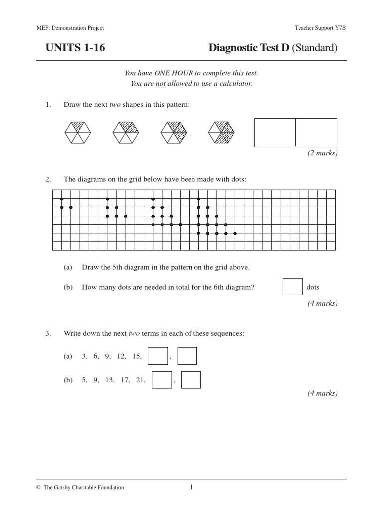 MEP Year 7 - Diagnostic Tests - Test - D | PDF