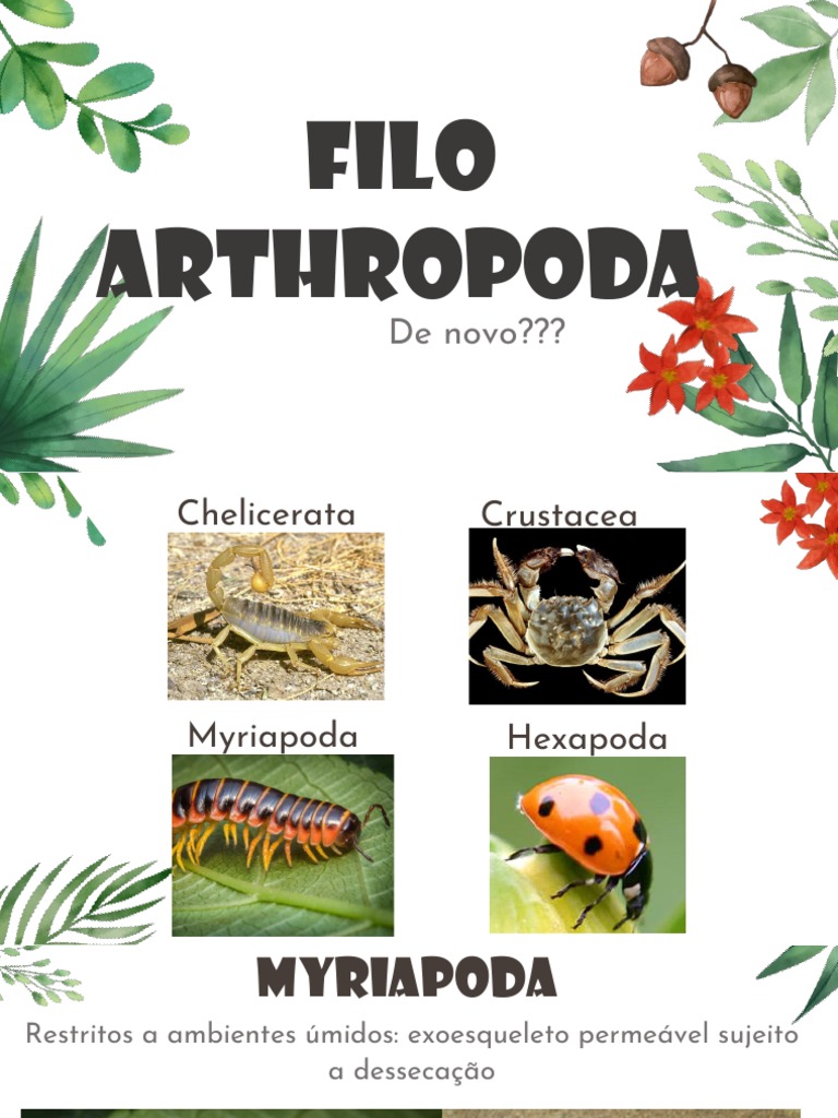 Arthropoda III Myriapoda e Hexapoda | PDF | Insetos | Hexapoda