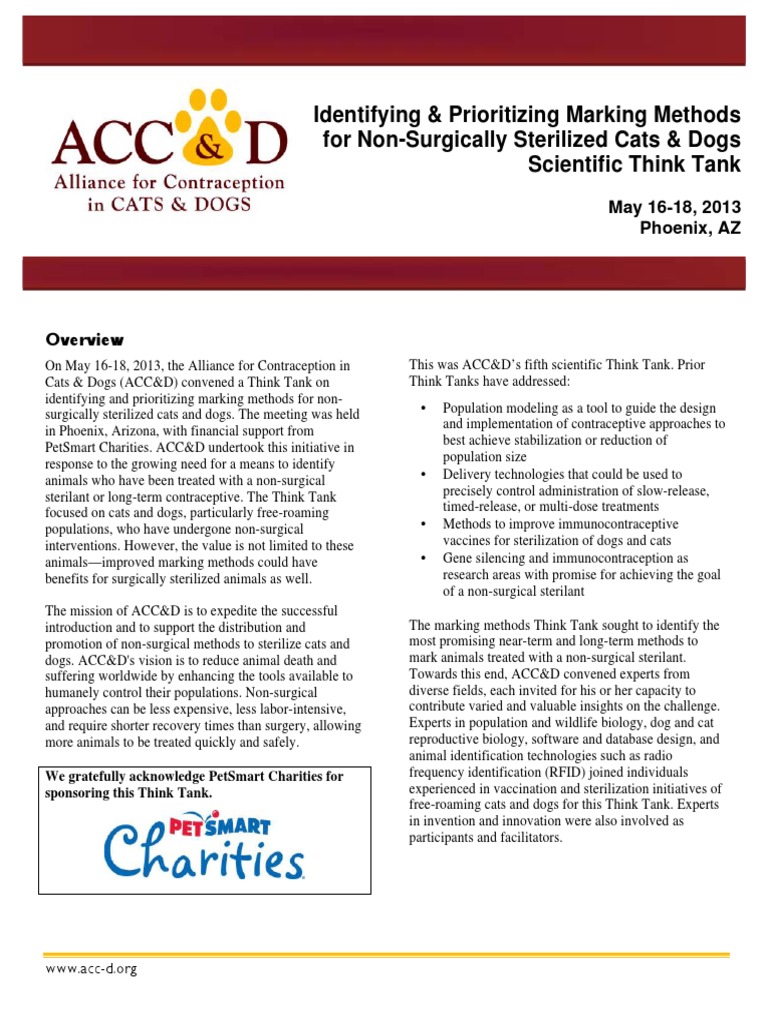 Markingttreport | PDF | Neutering | Animals And Humans