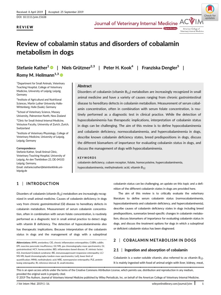 Cobalamin Deficiency in Dogs: Overview | PDF | Vitamin B12 | Kidney