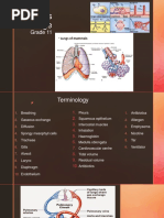 Grade 11 Life Sciences Remote Learning Booklet - Term 1 & 2-1 | PDF