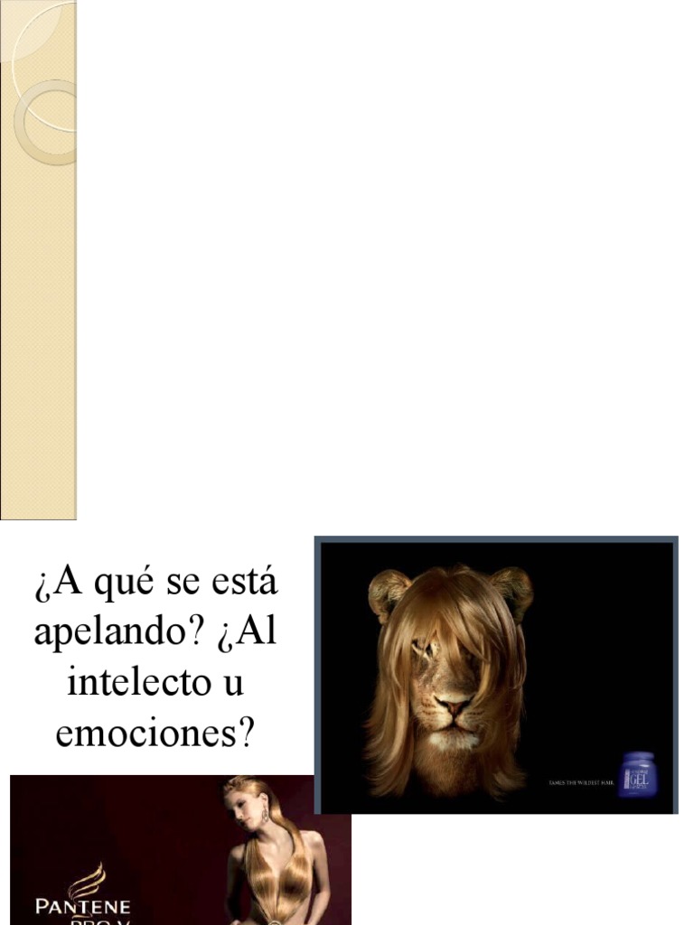 Convencer, Persuadir y Disuadir-Tercero Medio | PDF