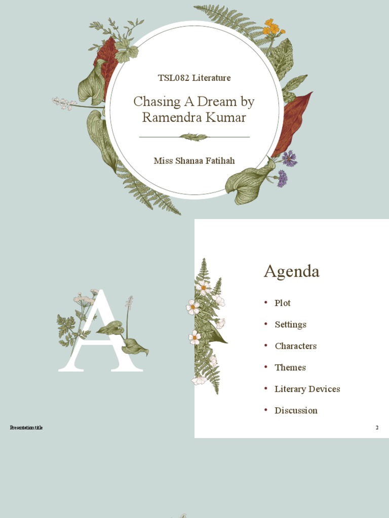 Chasing A Dream: Plot & Analysis | PDF | Economies | Business