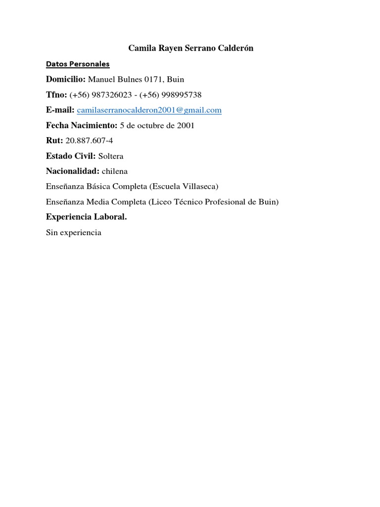 Curriculum Camila Serrano Calderon | PDF