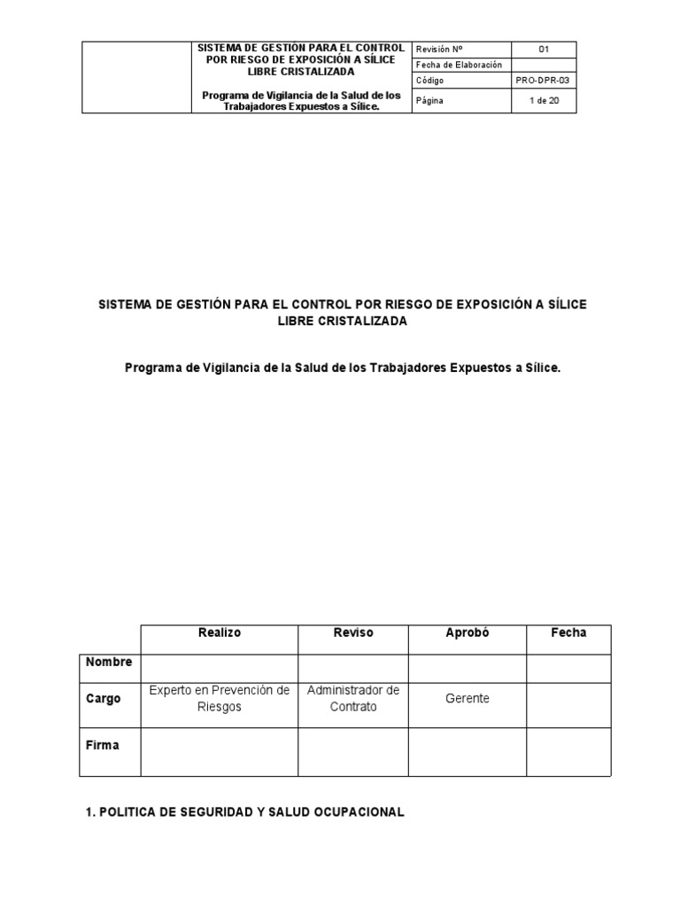 Modelo Programa Planesi Control Por Riesgo de Exposicion A Silice | PDF | Auditoría | Seguridad ...