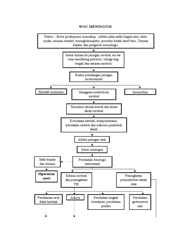 Woc Meningitis | PDF