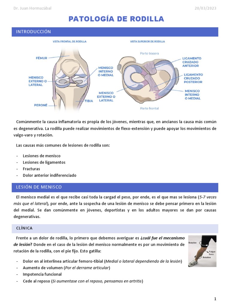 (C5-P4) Patologia de Rodilla | PDF | Rodilla | Causas de la muerte