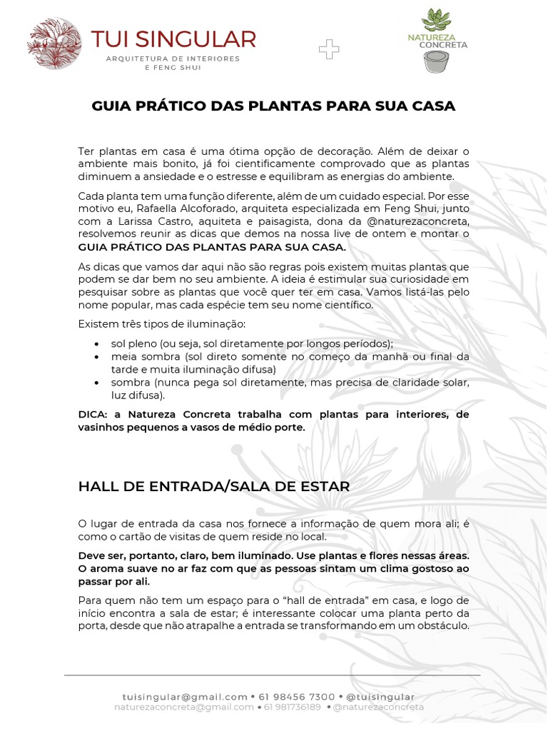 Guia Prático Das Plantas para A Sua Casa | PDF | Botânica | Plantas