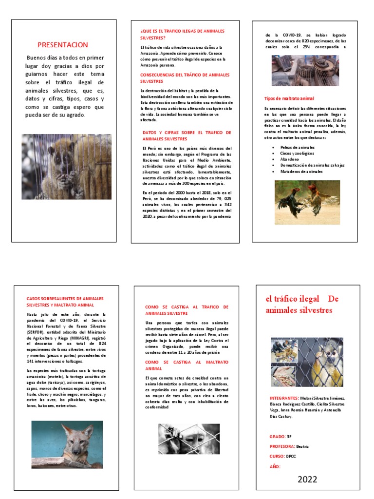 Trafico Ilegal de Animales Silvestres 1 | PDF | Organismos | Entorno ...