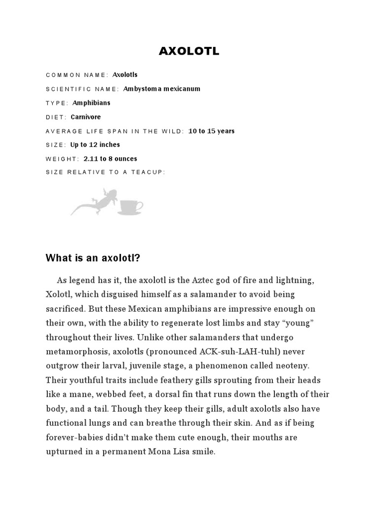 Axolotl: Facts and Conservation Status | PDF | Organisms