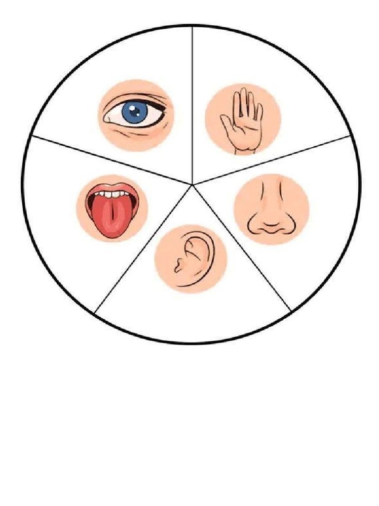 Spinner Games Body Parts | PDF