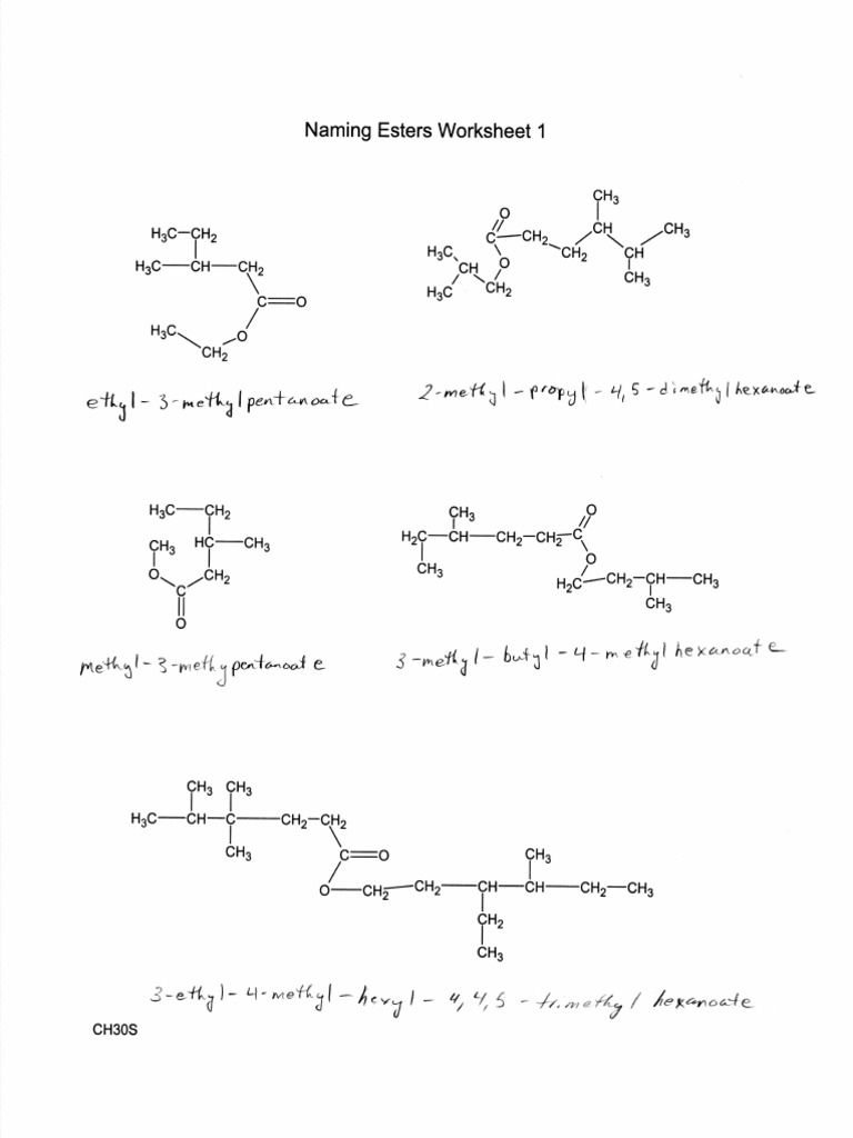 Naming Esters Worksheet 1 Answers | PDF