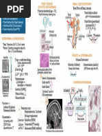 Antibiotic Chart-Infectious Disease Bug Drug Table-2019 | PDF | Medical ...