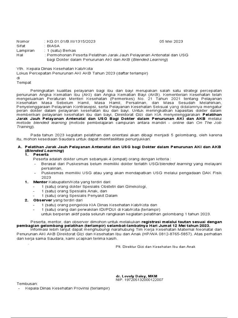 USG Bagi Dokter Dalam Penurunan AKI Dan AKB | PDF