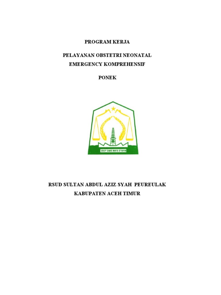 Program Kerja Tim Ponek | PDF