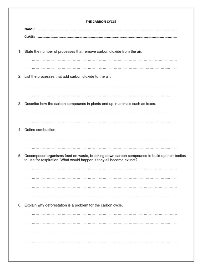 Carbon Cycle Worksheet BIOLOGY | PDF
