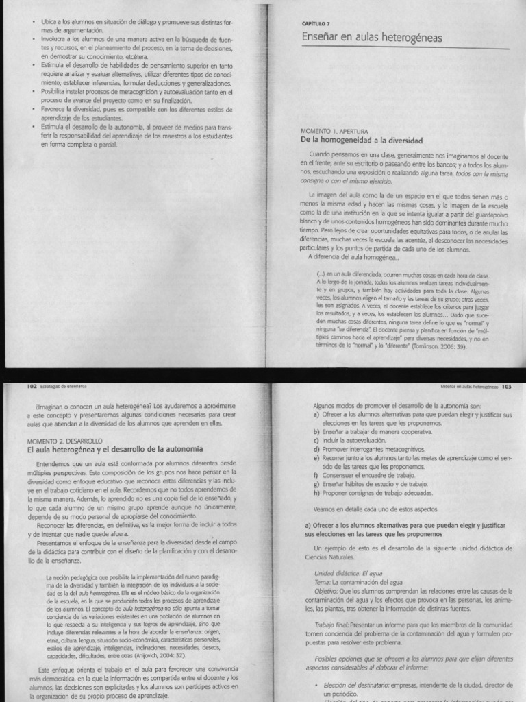 Aulas Heterogeneas | PDF