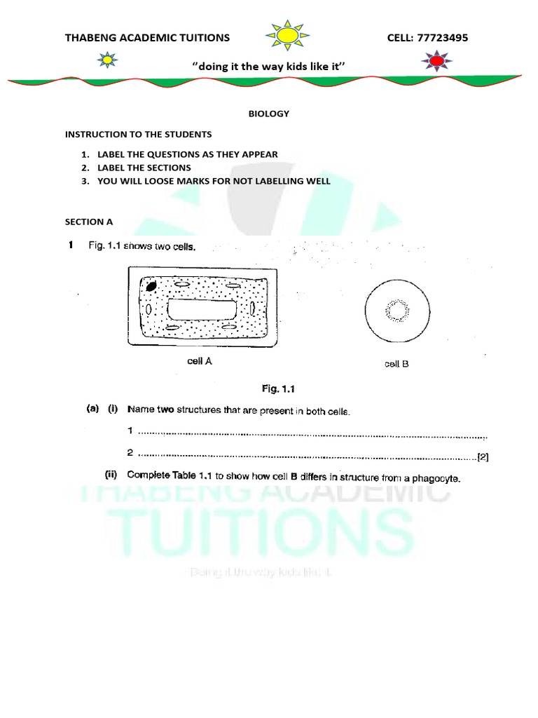 Biology Revision and Open-Marked Test | PDF