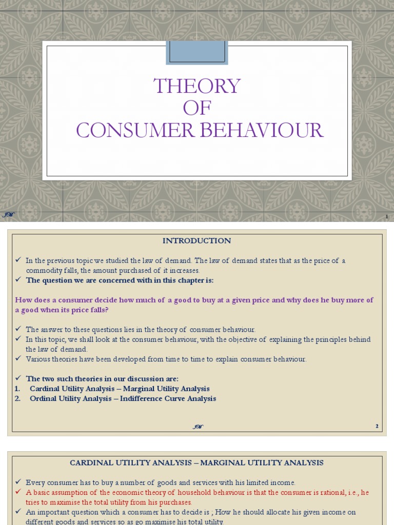 Theory of Consumer Behaviour | PDF