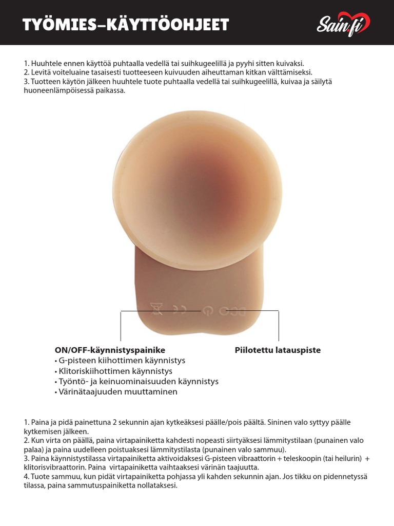 Sain Ohjeet Tyomies 11 2022 | PDF