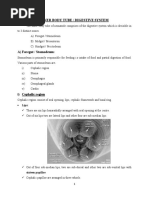 Soil Science Practical Soil Texture by Feel Method | PDF