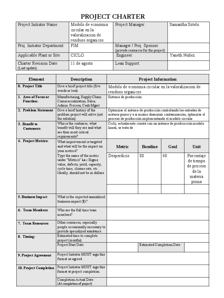 Project Charter: Element Description Project Information | PDF | Inventory | Business Process