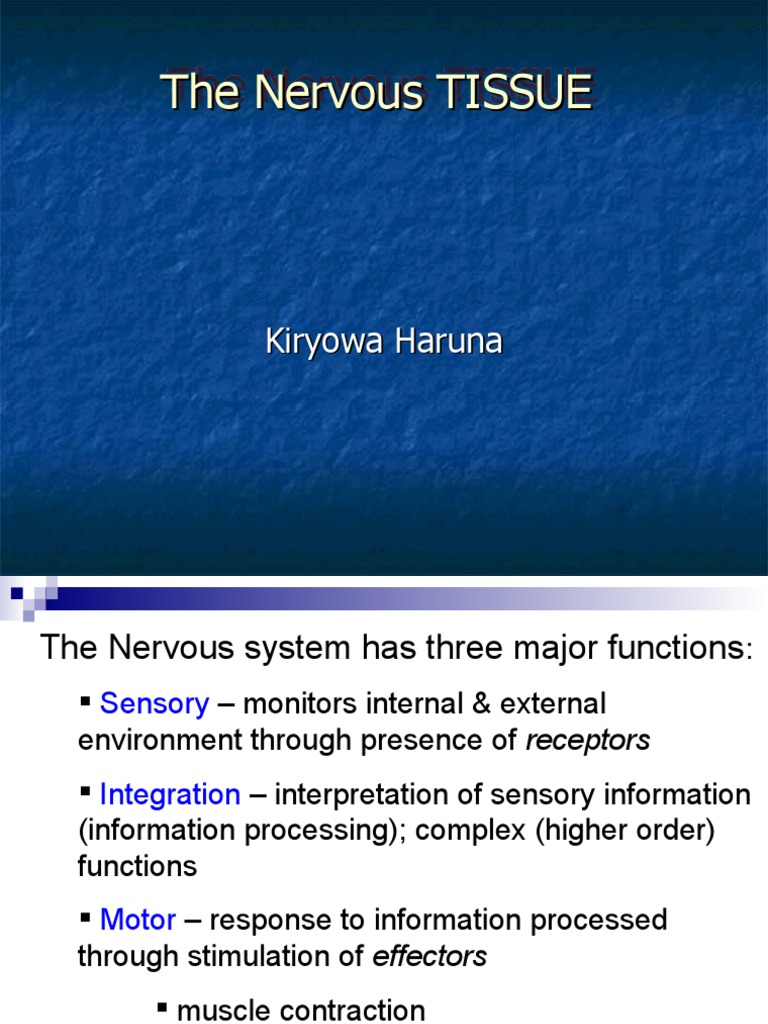 Anatomy Nervous Tissue | PDF | Central Nervous System | Neuron