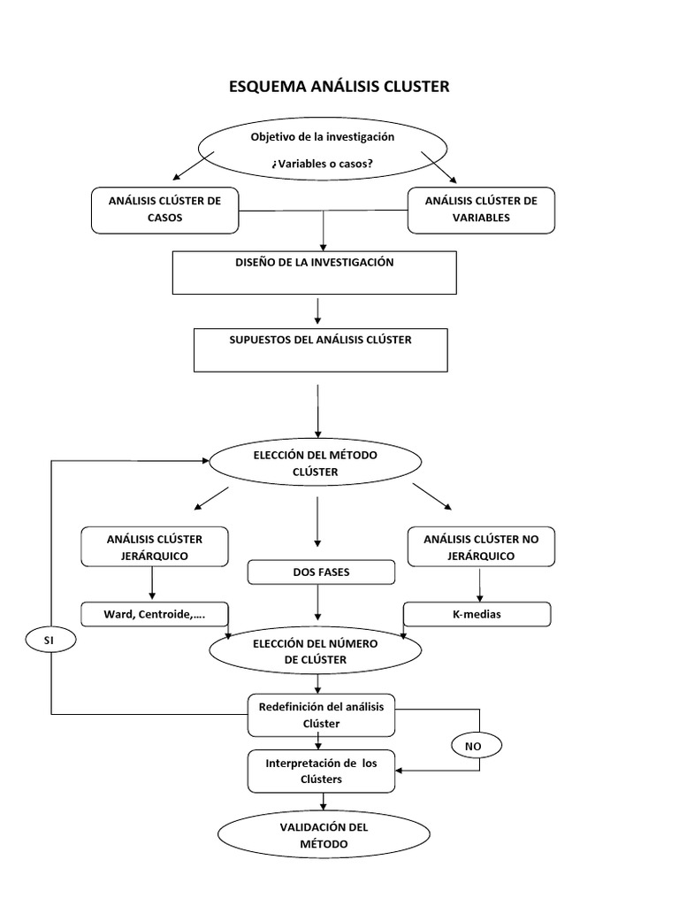 Esquema Análisis Cluster | PDF