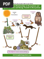 Epping Forest Case Study Booklet | PDF | Ecosystem | Systems Ecology