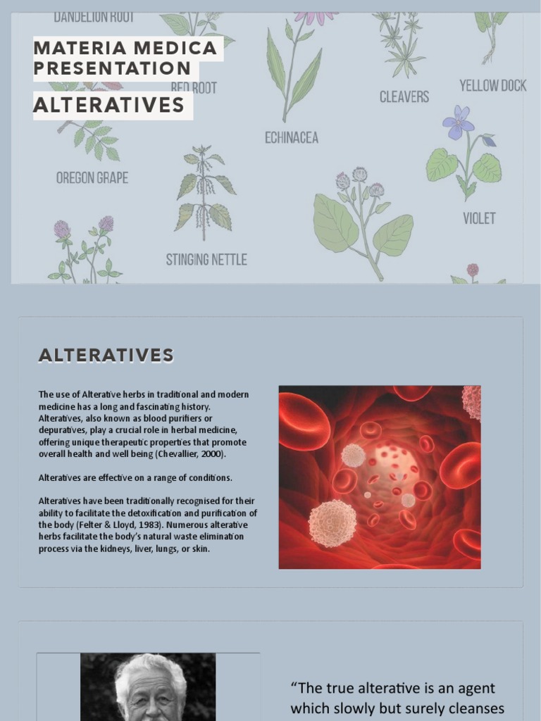 Key Alterative Herbs in Medicine | PDF | Medicine | Diseases And Disorders