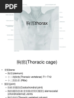 Costal Arch | PDF | Thorax | Thorax (Human Anatomy)