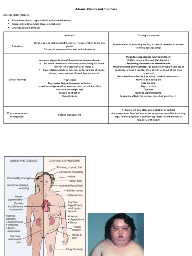 Addisons Vs Cushing Pdf Adrenal Gland Endocrinology