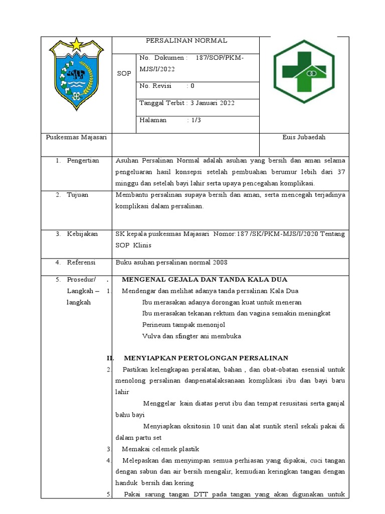Ep 4.2.1.4 Sop Persalinan Normal | PDF